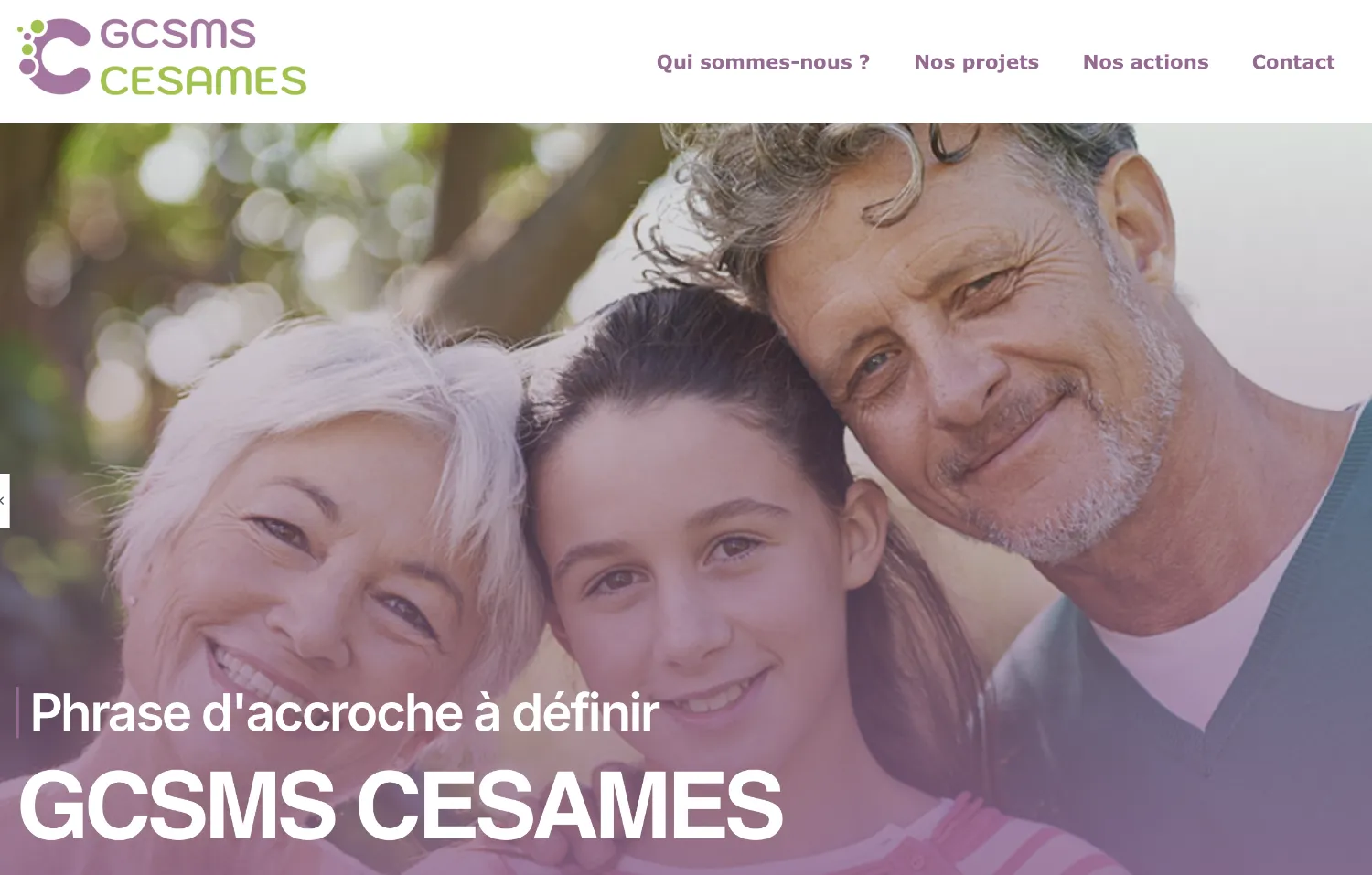 Le GCSMS - GCSMS CESAMES